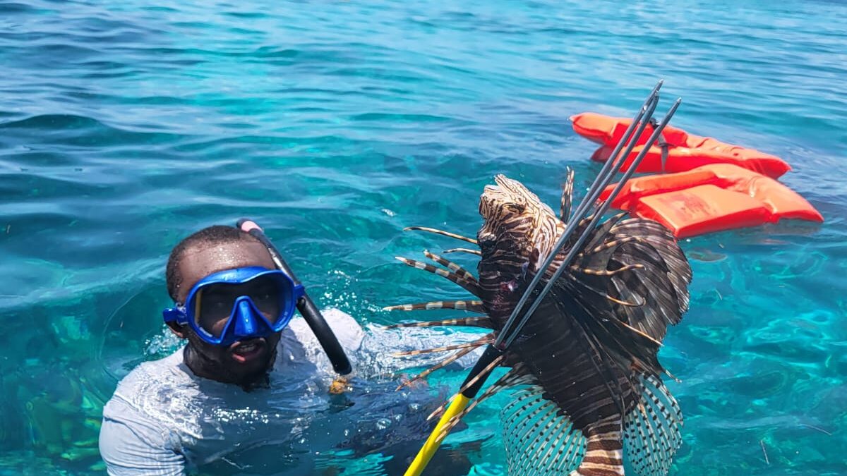 Lionfish Hunting in Belize | Snorkel & Protect the Reef - Get to Know ...